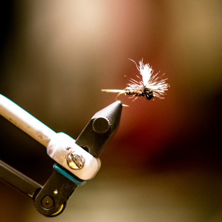 Sam Black Flies - QC Exclusive