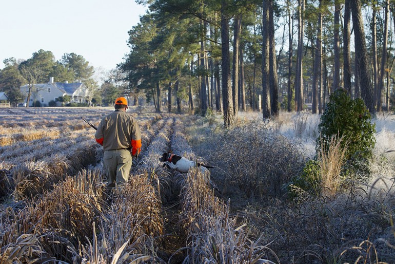 The Quail Hunter’s Heaven: Garland, North Carolina’s George Hi ...