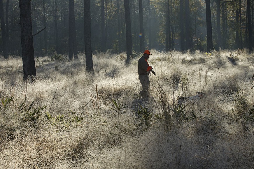 The Quail Hunter’s Heaven: Garland, North Carolina’s George Hi ...