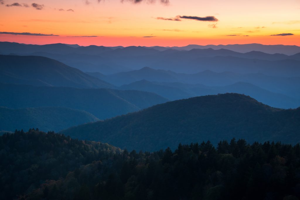 A Weekend Spent in the Georgia Lowcountry - QC Exclusive