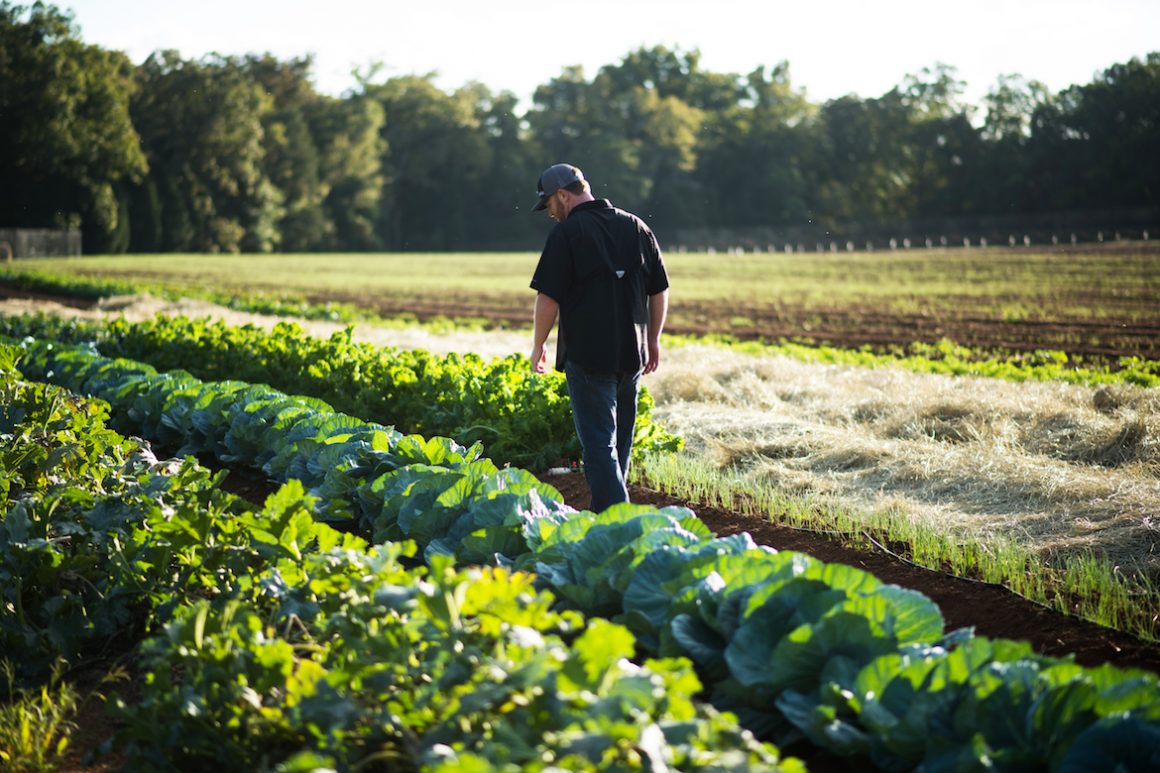 Freshlist: Cultivating a better food system for the farmer, the chef ...