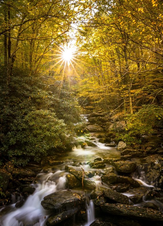 The Best Stops Along the Blue Ridge Parkway - QC Exclusive