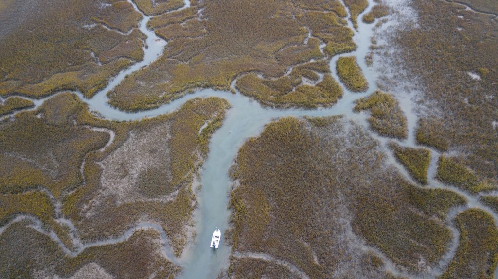 A Trip to the Historic ACE Basin - QC Exclusive