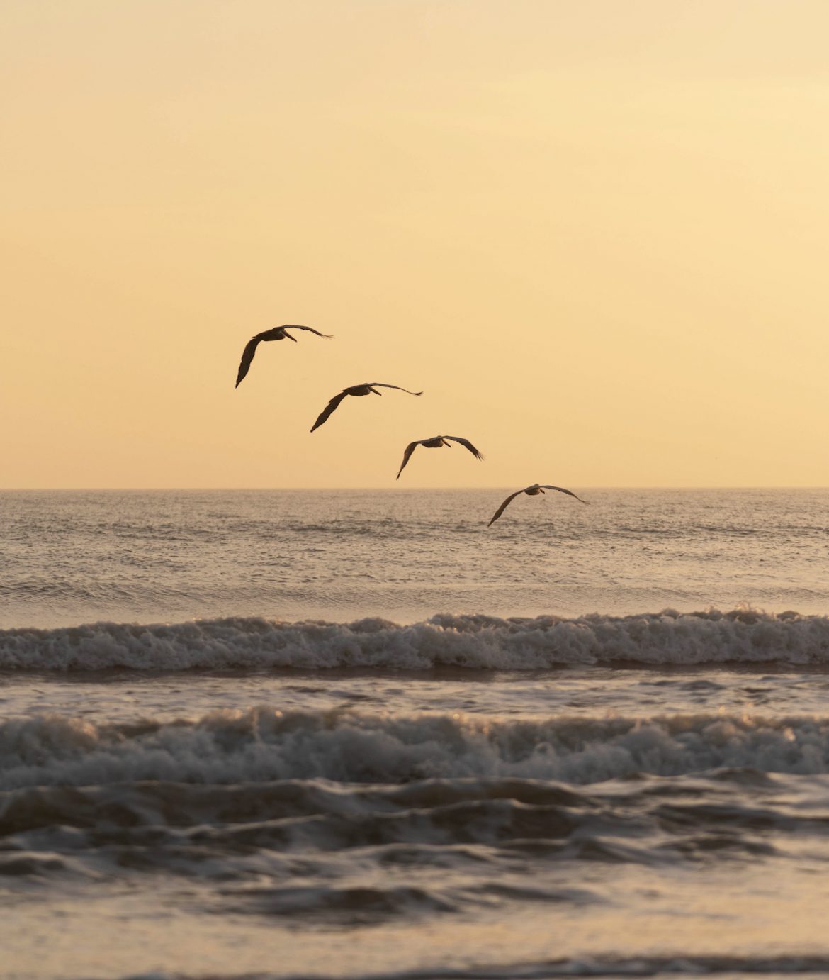 Explore The NC Coast: The Ultimate Outer Banks Road Trip