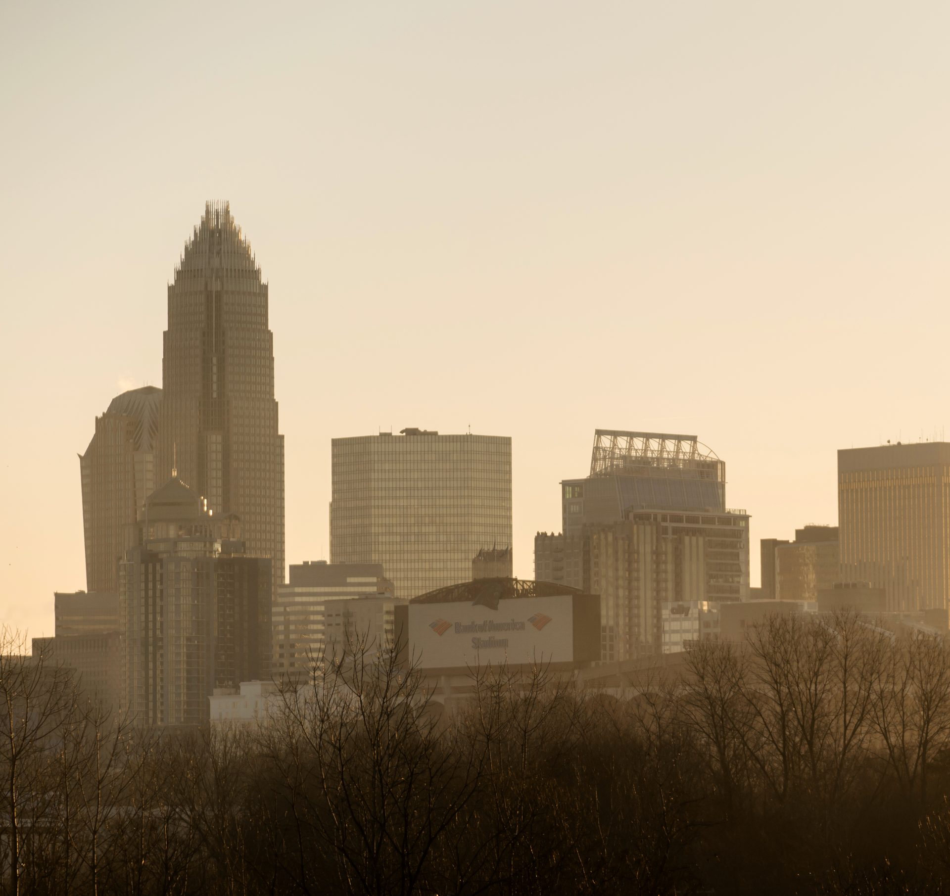 NC Phase 2: How to Help Support Charlotte Now - QC Exclusive