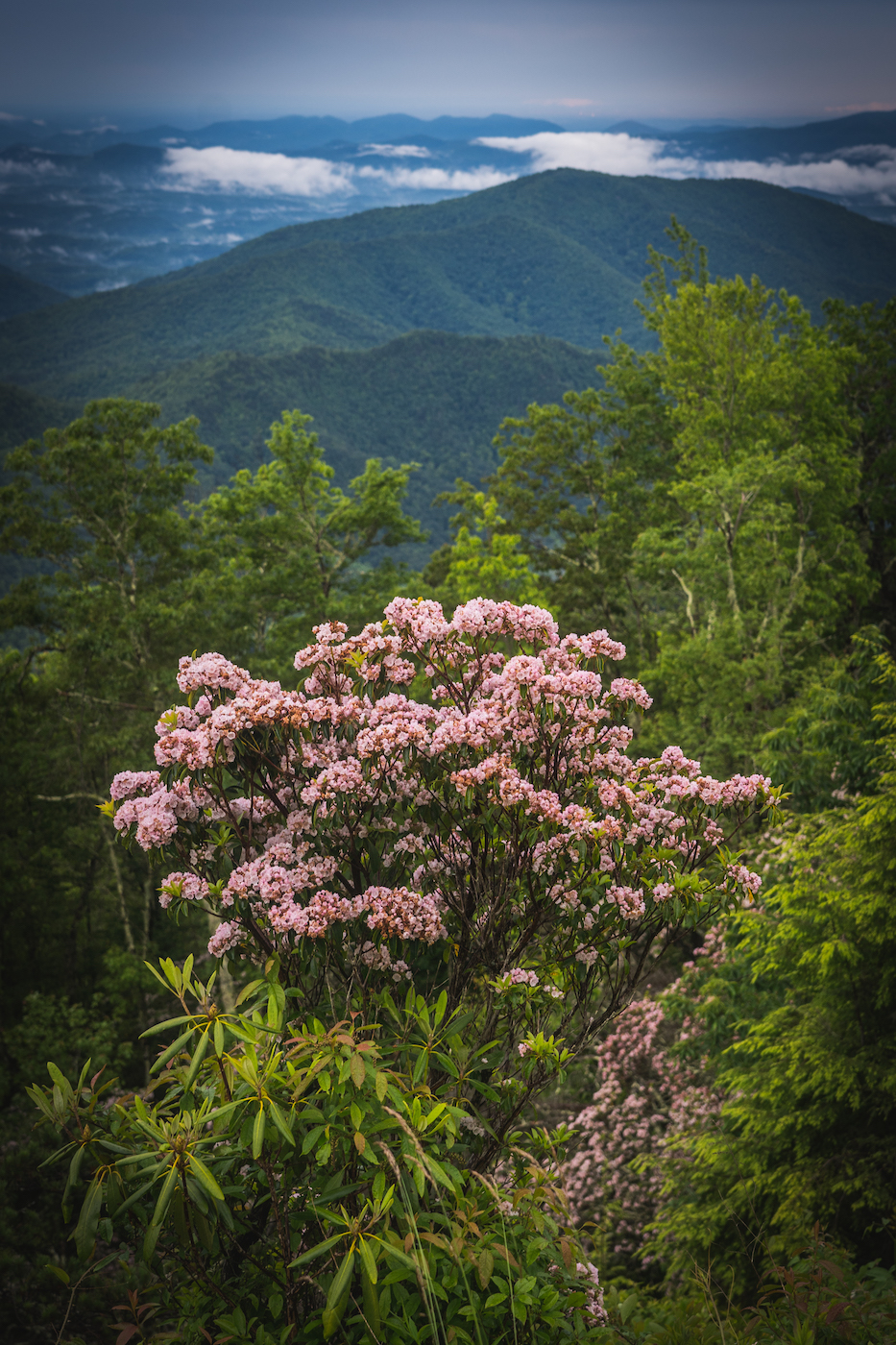 The Best Stops Along the Blue Ridge Parkway - QC Exclusive