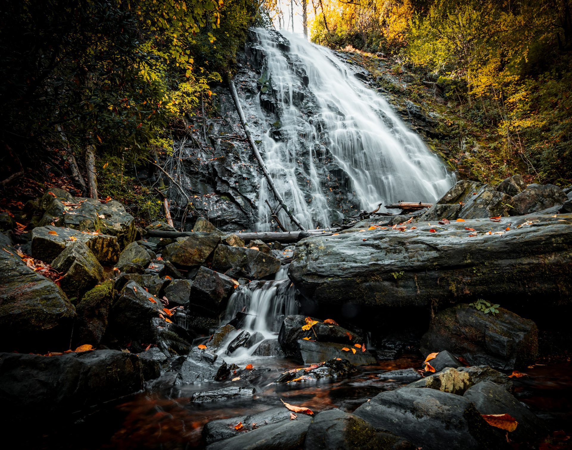 16 of the Best NC Waterfalls – QC Exclusive