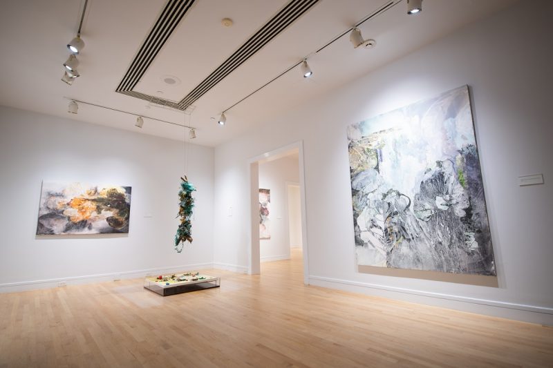 art gallery davidson nc