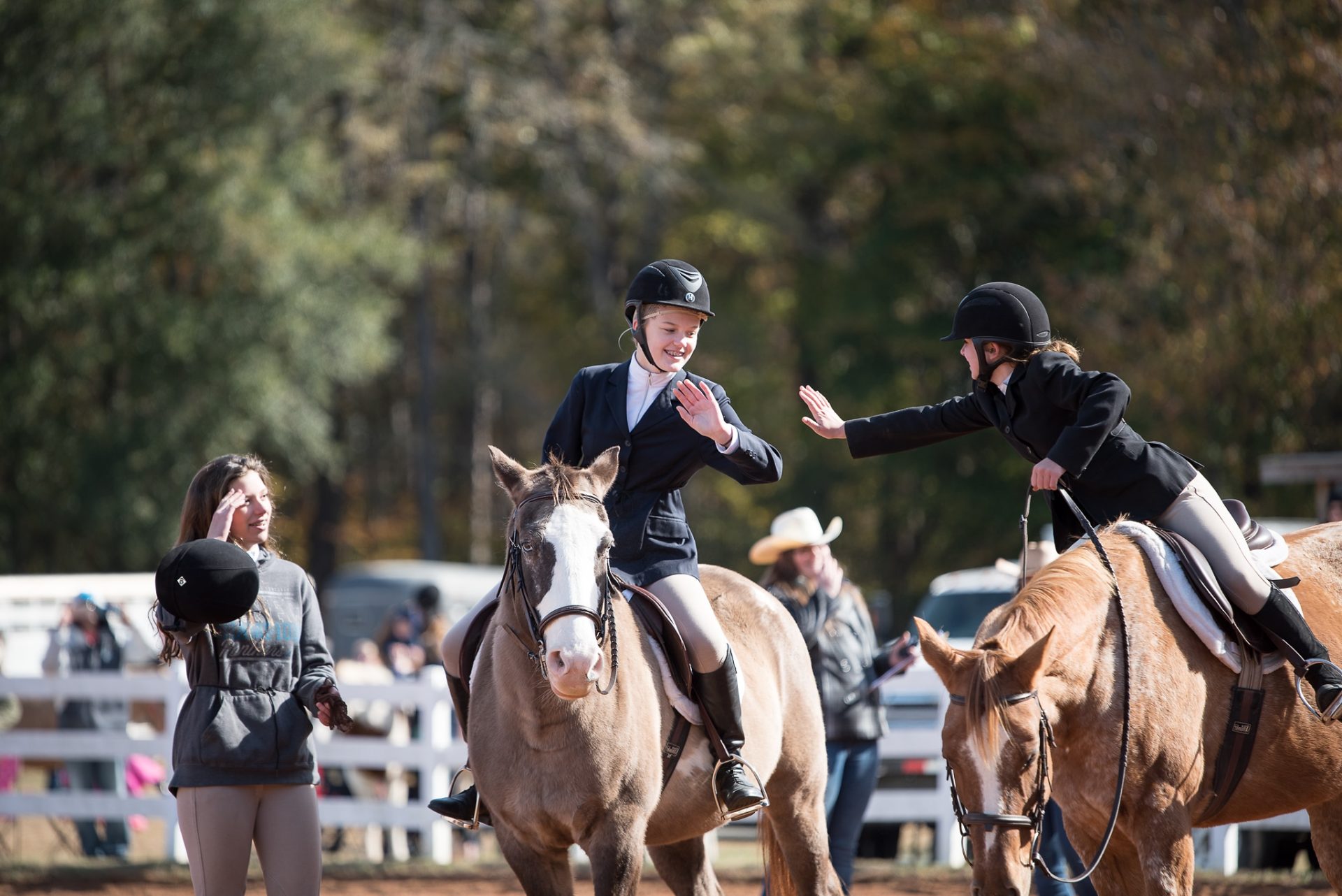 Top Places To Go Horseback Riding In Charlotte NC
