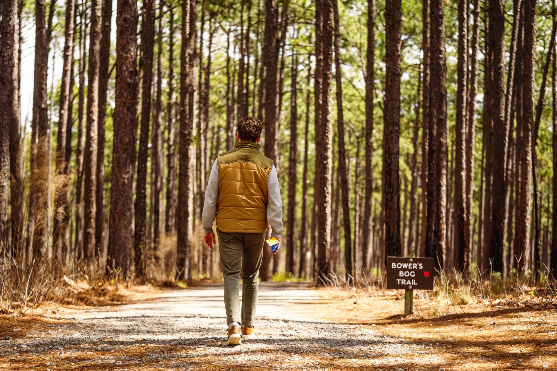 The Pinecone Pathways Program in Moore County NC Blends Nature and Art ...