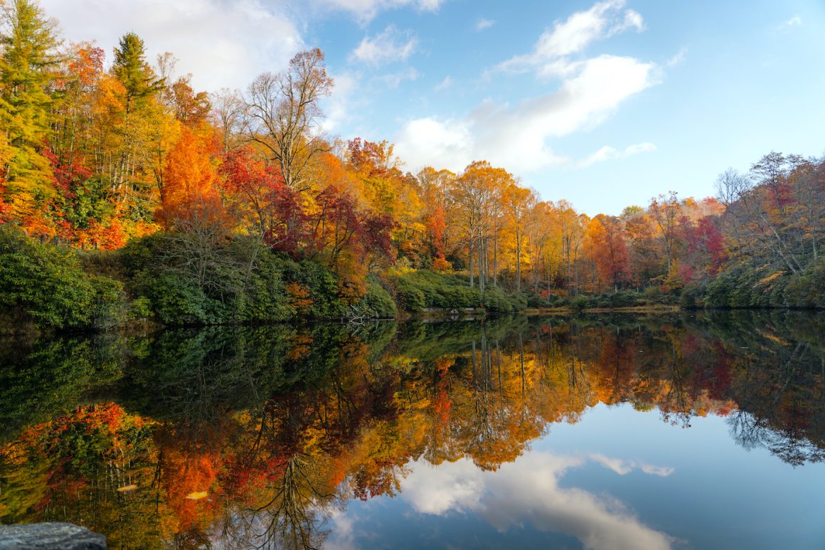 Essential List of North Carolina Fall Activities - QC Exclusive