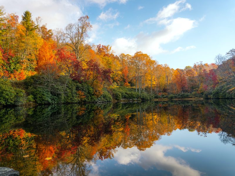 Where To See Fall Foliage in North Carolina For Yourself