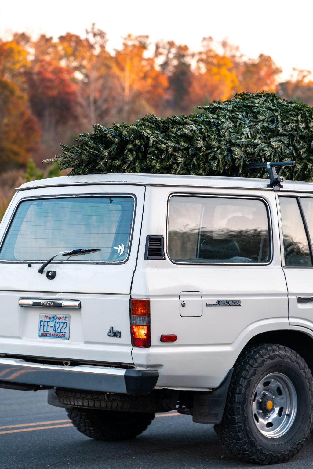 Celebrate Winter at Whitewater: Ice Skating, Christmas Trees and More!