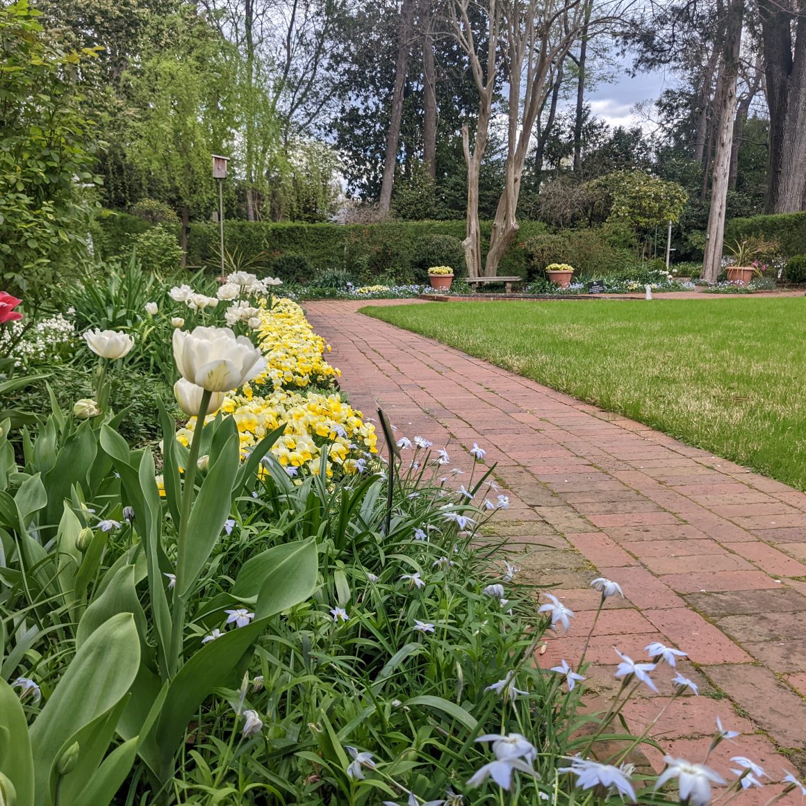 QC Exclusive - Your Guide To Charlotte NC