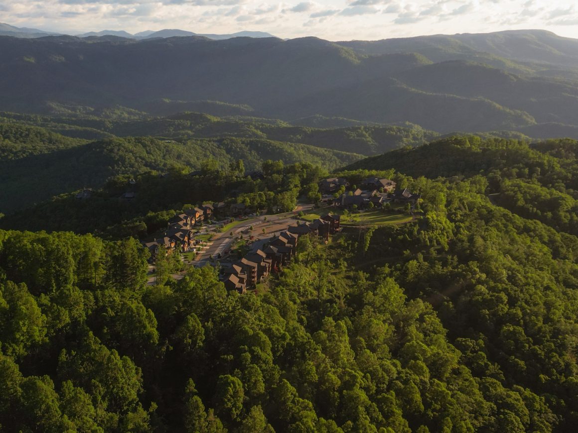 Blue Ridge Mountain Cub: Where Luxury Meets Natural Beauty - QC Exclusive